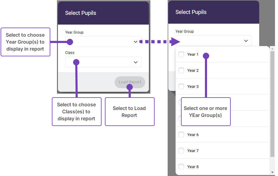 Sonar Tracker: Primary Pupil Progress Meeting Report – Juniper Education (New)