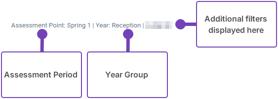 Sonar Tracker: Primary Pupil Progress Meeting Report – Juniper Education (New)